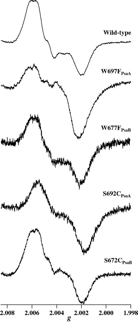 Photoaccumulated Cw Epr Spectra Of Ps I Complexes Isolated From The Download Scientific Diagram