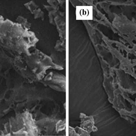 The Ternary Diagram Of Sio2 Al2o3 And Fe2o3 Cao Existing In Precursor