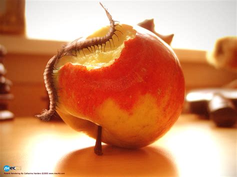 Android Apk Dealer You Know What I Somehow From Inside Always Loved Robot Based And