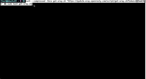 Install Openresty Xrays Agents On Ubuntu Via Deb Packages Openresty