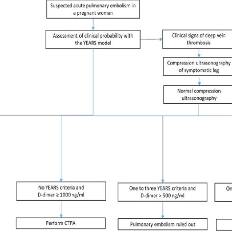 The Ct Pe Pregnancy And The Pregnancy Adapted Years Diagnostic