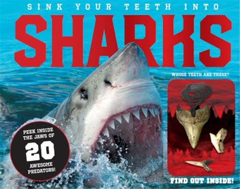 Sink Your Teeth Into Sharks Scholastic Shop