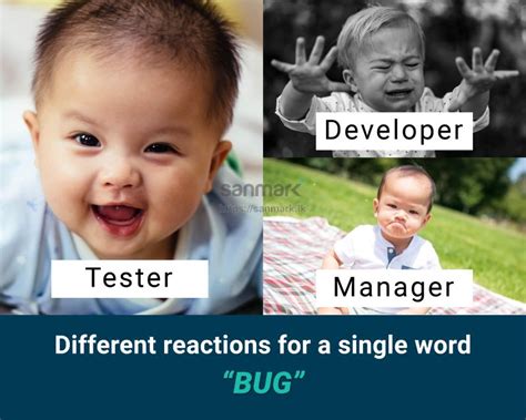 Sanmark Solutions On Linkedin Bug Funnymemes Softwaredevelopment