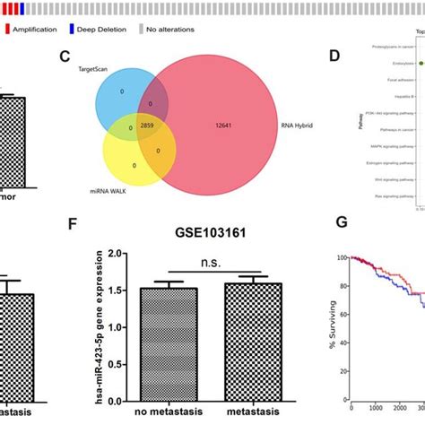 The Bioinformatics Discovery Of Breast Cancer Non Coding Rna Download Scientific Diagram