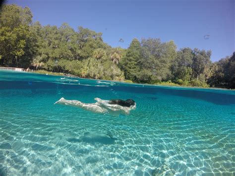 Dunnellon Fl Tourismus In Dunnellon Tripadvisor