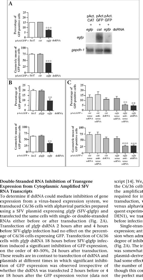 Double Stranded Rna Inhibits Plasmid Derived Transgene Expression In Download Scientific