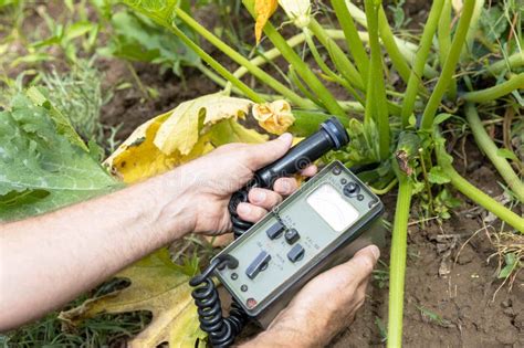 Measurement Of Radioactivity Concentration Levels In Vegetables Stock