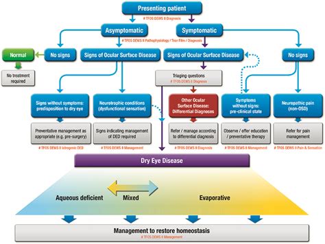 Ophthalmology Notes Dry Eye Severity Grading Scheme Dews