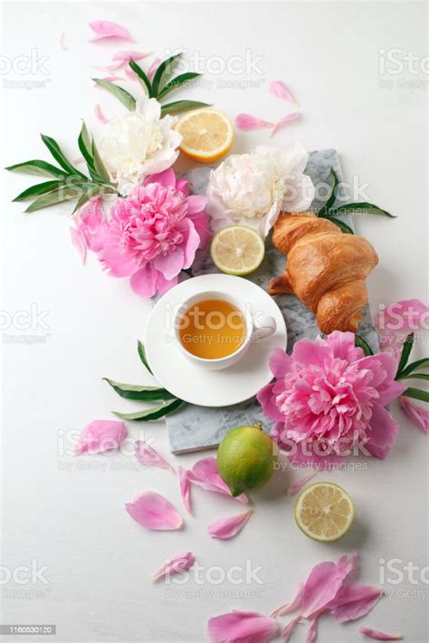 차 한 잔 신선한 꽃모란이 있는 감귤류가 흰색 배경에 모란 휴일 여성 스러운 아침 식사 축 하 아침 컨셉 맨 위 보기 공간을 복사합니다 건강한 식생활에 대한 스톡 사진 및