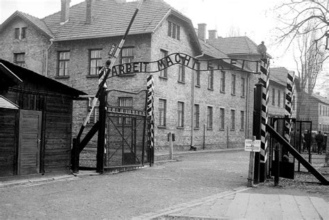 Auschwitz La Liberación Del Campo De Concentración Más Temido Del