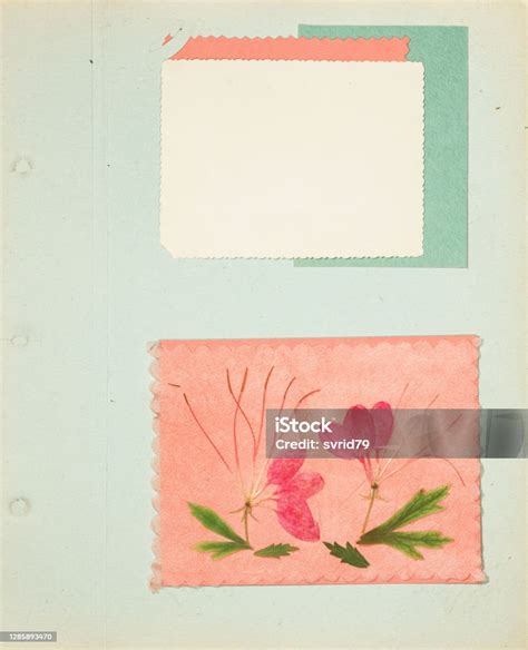 이전 사진 앨범의 페이지입니다 클레오메 또는 거미 꽃 잎 꽃 꽃잎으로 장식 된 스크랩 북 요소 카드의 경우 초대는 축하합니다 스크랩북 인사말에 사용하십시오 건조한에 대한