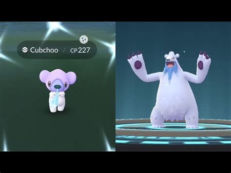 Cubchoo Evolution