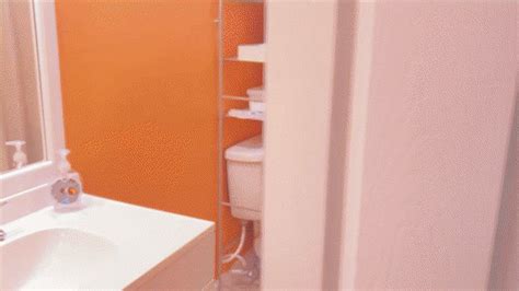 Toilet Transformation Amis Kinky Kastle Clips Sale