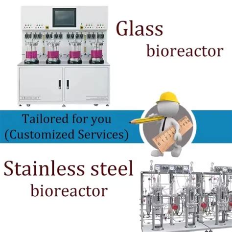 Stainless Steel Fermente Bioreactor Tissue Culture Bioreactor Fermenter