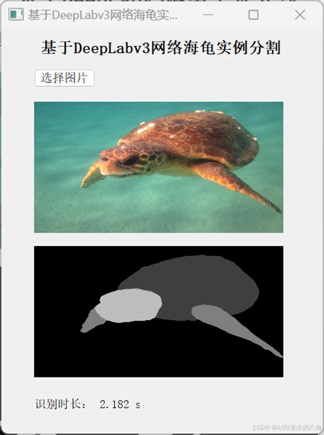 语义分割实战——基于deeplabv3海龟实例分割系统源码deeplabv3实例 Csdn博客