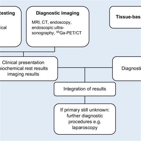 9 Adapted Diagnostic Algorithm Proposed By Hendifar Et Al [22] Download Scientific Diagram