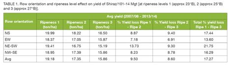 Vineyard Row Orientation Part 4 Growth And Yield Wineland Media