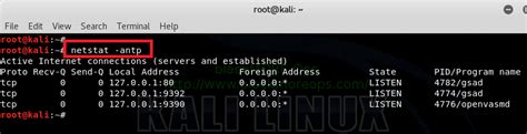 Install Setup Configure And Run Openvas On Kali Linux Blackmore Ops