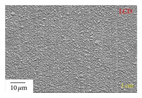 Sem Micrographs Taken At Different Regions On The Substrate 1 Cm