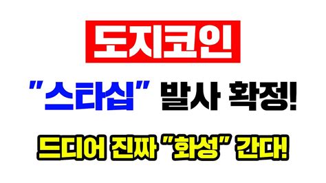도지코인 긴급 일론머스크 드디어 스타십 발사확정 도지코인 영향은 드디어 진짜 화성갑니다ㅣ수익타점 귀신