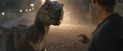 Jurassic World Fallen Kingdom Blue 9 By Giuseppedirosso On Deviantart