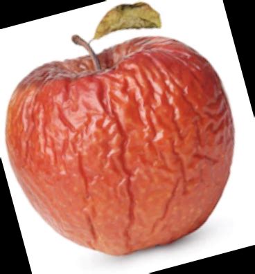 Fruit Detection Object Detection Dataset And Pre Trained Model By Ratul