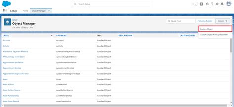create custom object in salesforce lightning let create an app