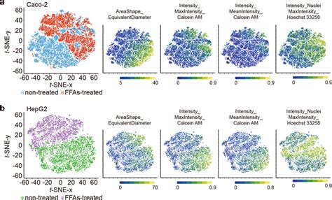 Single Cell Profiling For The T Sne Analysis A B Two Dimensional T Sne