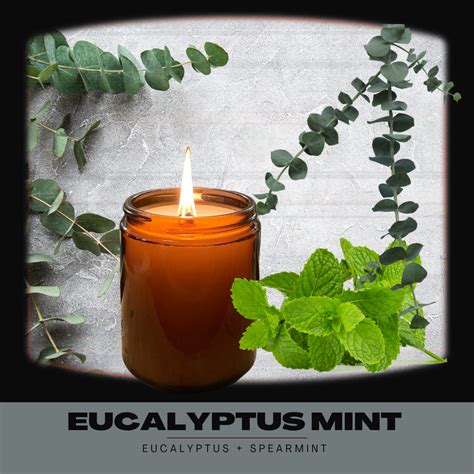 Eucalyptus Mint 3c Scents Candle Co