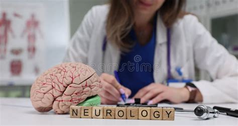 Neurology Professional Using A Detailed Brain Model For Better Understanding And Treatment Stock