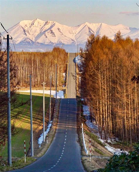 🏔🌳🌿 ชูยิตสึ โนะ โอกะ セイand ดอกไม้กับชนบทญี่ปุ่น