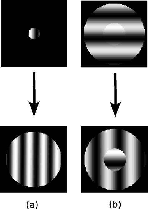 1 Example Visual Stimuli Used To Probe Surround Modulation Properties
