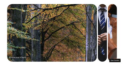 Slider Animation Codesandbox