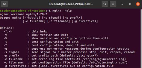 Webserver Nginx Unit File Linux Introduction