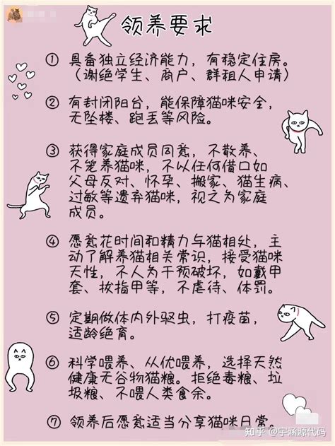 找爱心领养猫咪无偿领养深圳宝安区 知乎