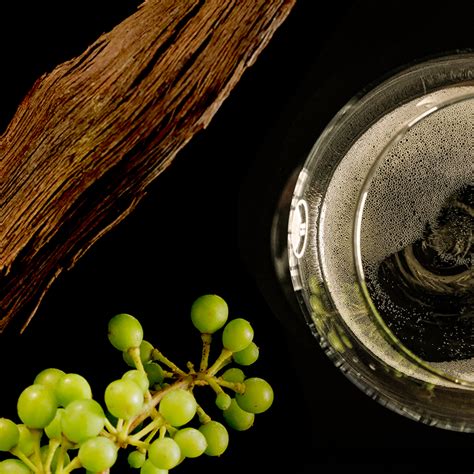 Prenota La Tua Visita Bisol Bisol Prosecco Valdobbiadene Docg