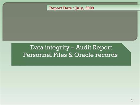 Data Integrity Audit Report And Proposed Solution Ppt