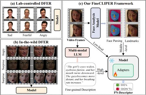 Finecliper Multi Modal Fine Grained Clip For Dynamic Facial Expression Recognition With Adapters