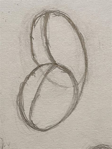 Bean Shape In Figure Drawing R Learntodraw