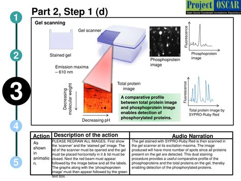 PPT Post Translational Modifications PowerPoint Presentation Free Download ID