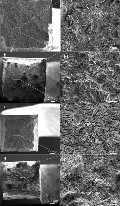 Fracture Morphologies Of The Laser Cladded Coatings With Different V
