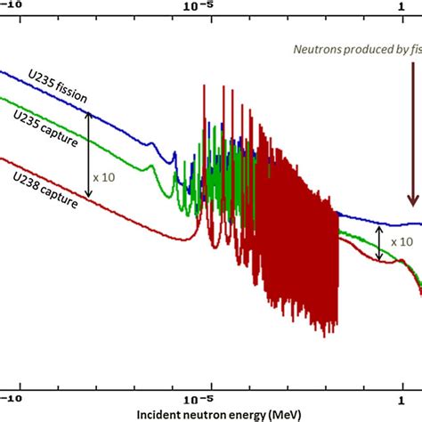 Uranium Neutron Reaction Cross Section Download Scientific Diagram