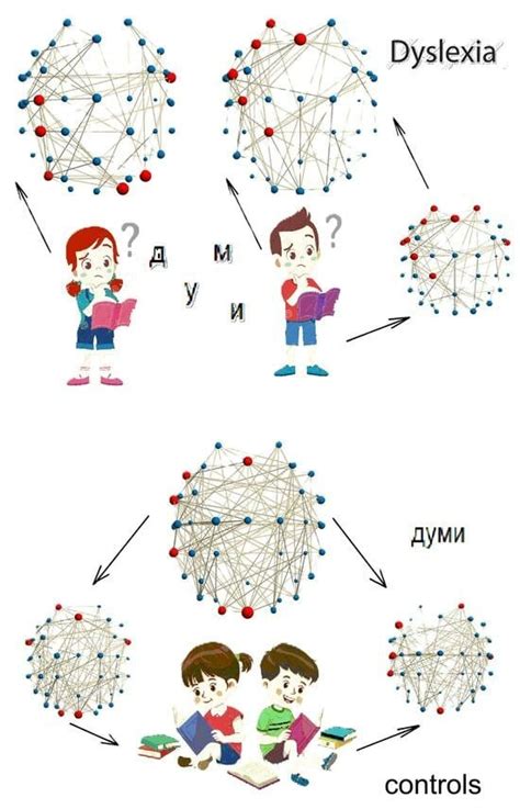 Role Of Sex In Shaping Brain Network Organization During Reading In Developmental Dyslexia
