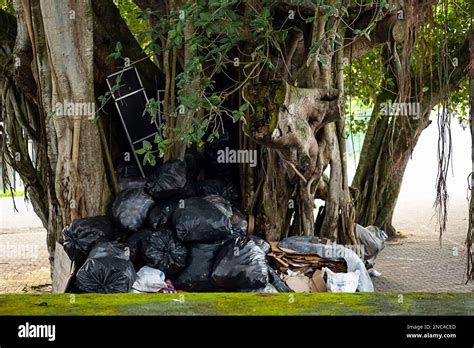 Trash Inside Huge Tree Garbage Pile Environmental Pollution Concept