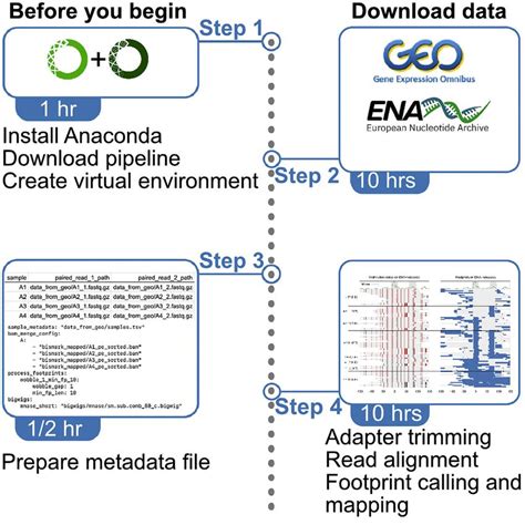 A Computational Pipeline To Visualize DNA Protein Binding States Using DSMF Data AWS
