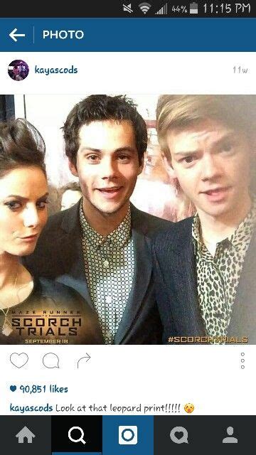 Pin By Kenzie The Dancer On Tmr Maze Runner Cast Maze Runner Maze