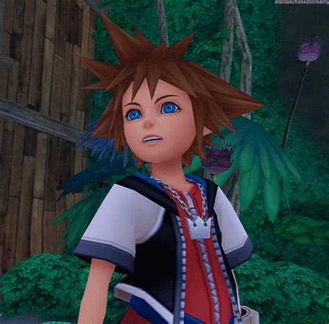 Kingdom Hearts Sora X Reader See More Ideas About Kingdom Hearts Sora