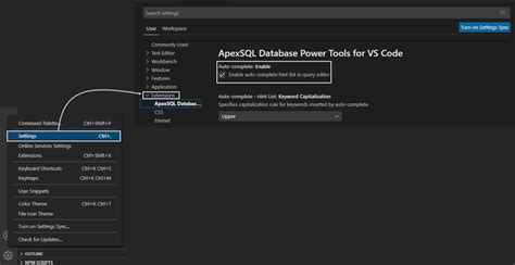 FAQs ApexSQL Database Power Tools For VS Code