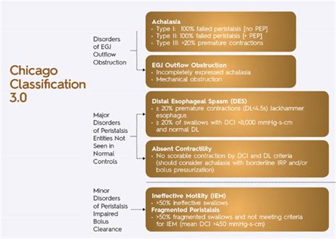 Esophageal And Anorectal Manometry Testing Services Functional Gut