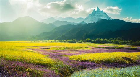 인공 지능 생성 목장 꽃 Pixabay의 무료 사진